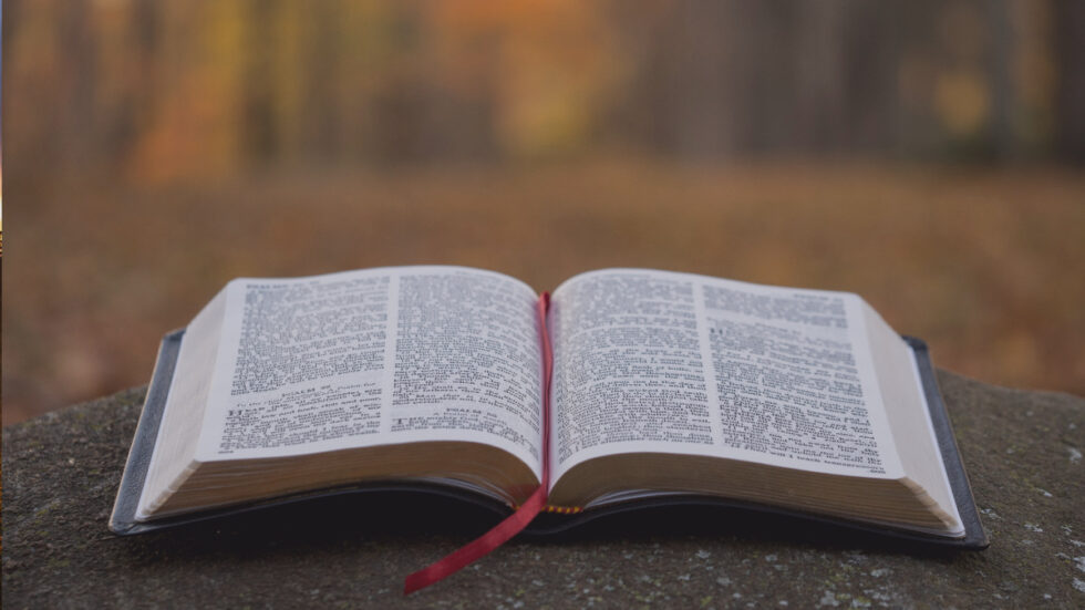 26 Things the Bible Says You Should Do - Catherine McDaugale